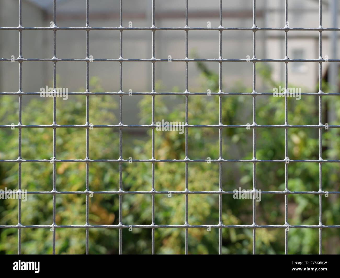 Close-up of wire mesh from a rabbit aviary. The mesh protects animals ...