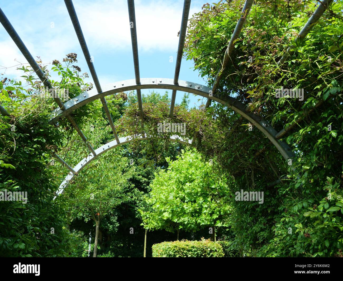 a rose trellis shaped like a gate. Roses climb up, providing shade and ...