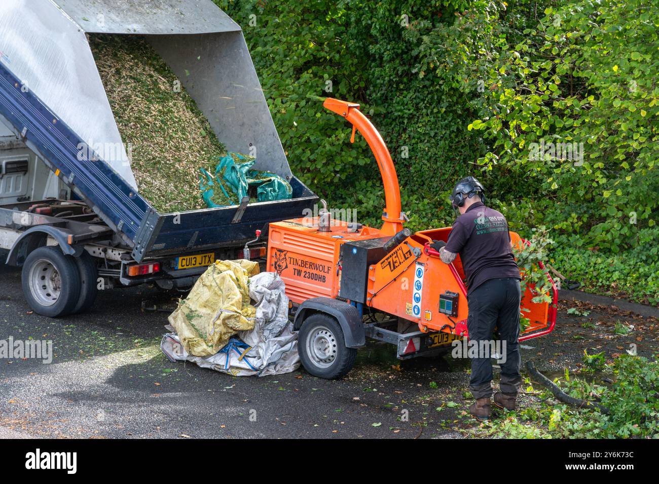 Man arborist contractor using a heavy-duty wood chipper to produce wood ...