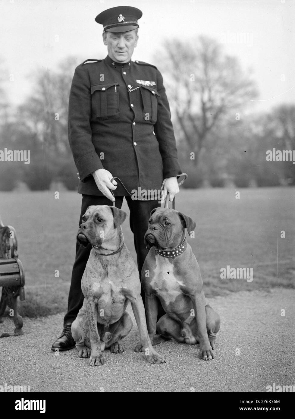 Watchdogs in London Park Park keeper Norris Alder , with the two Boxer ...