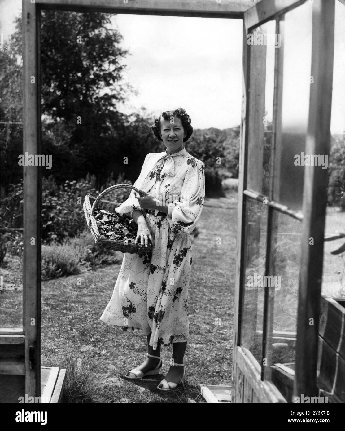 Gardening august Black and White Stock Photos & Images - Alamy