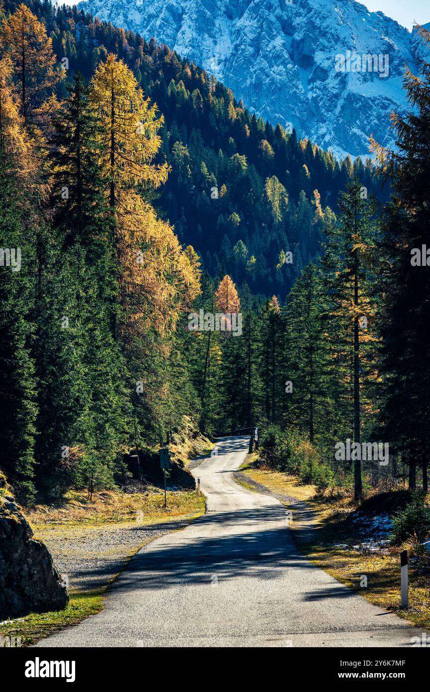 Autumn in Val Sesis. Explosion of colors in the Piave river valley ...