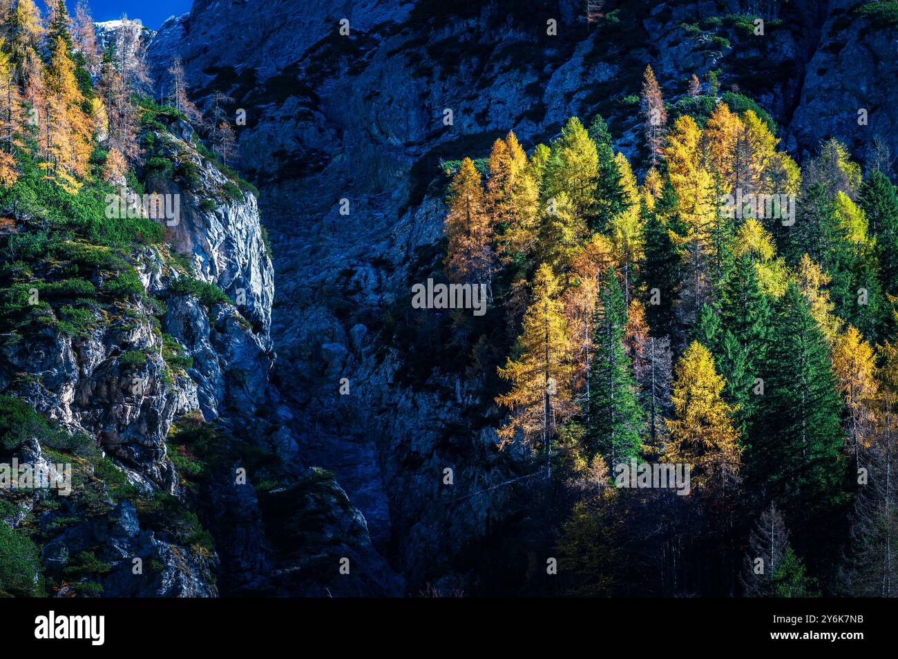 Autumn in Val Sesis. Explosion of colors in the Piave river valley ...
