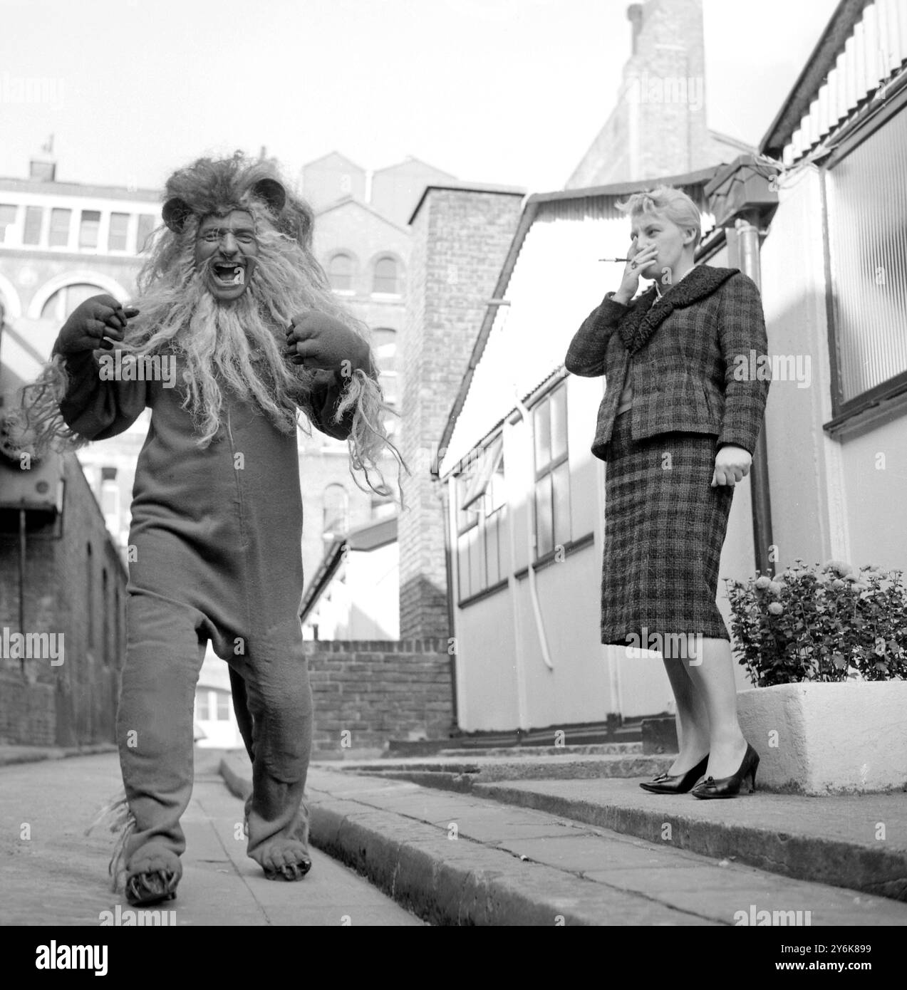 Actor Cal McCord dressed as a lion walking down Puddle Lane for the ...