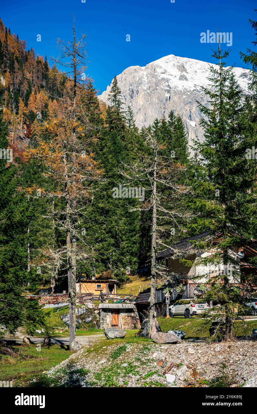 Autumn in Val Sesis. Explosion of colors in the Piave river valley ...
