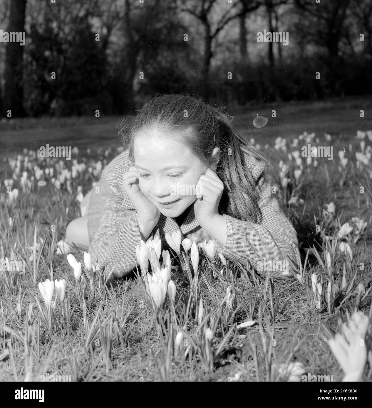 10 year old Pat Shannon studying Crocus in Hyde Park London February ...