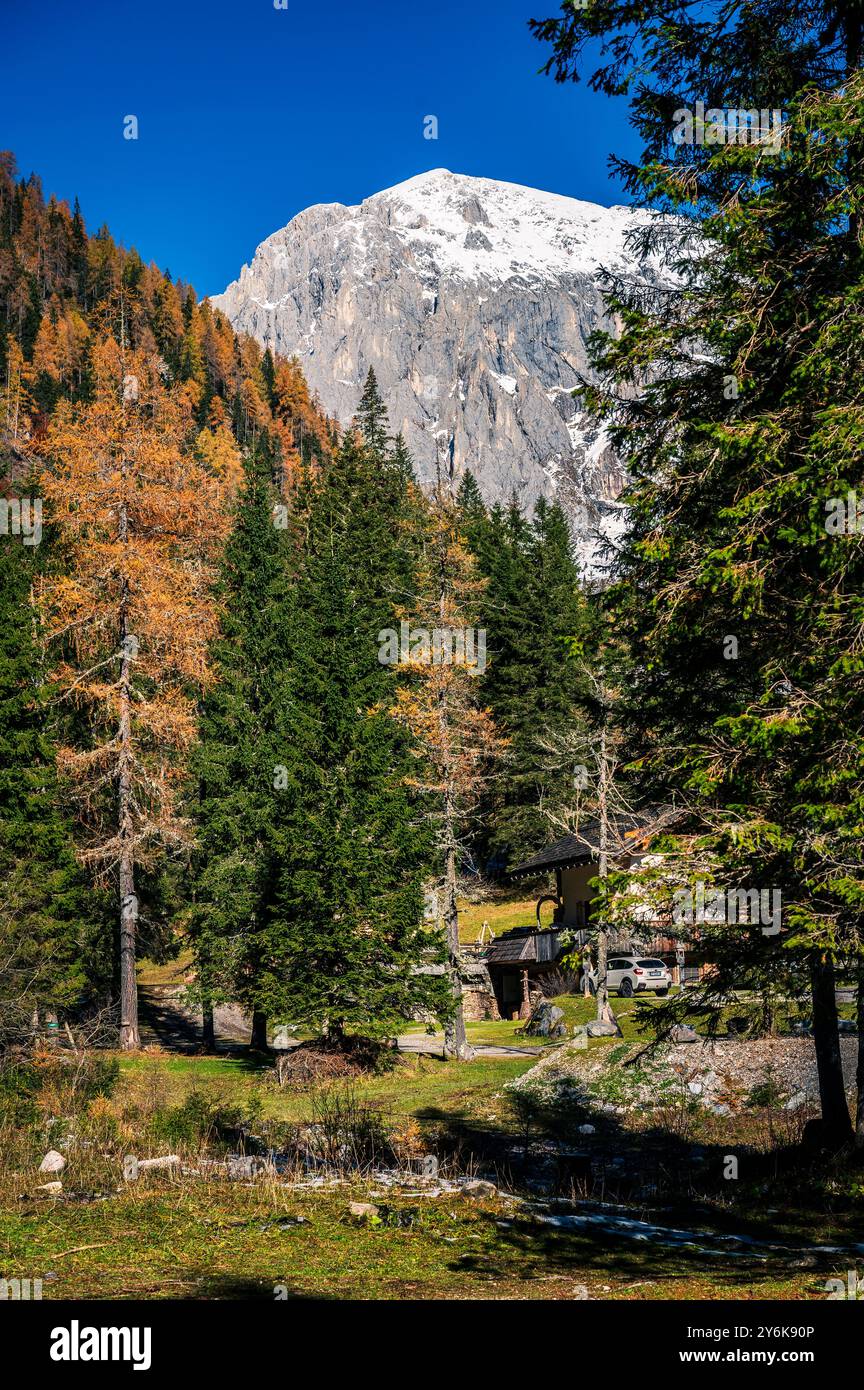 Autumn in Val Sesis. Explosion of colors in the Piave river valley ...