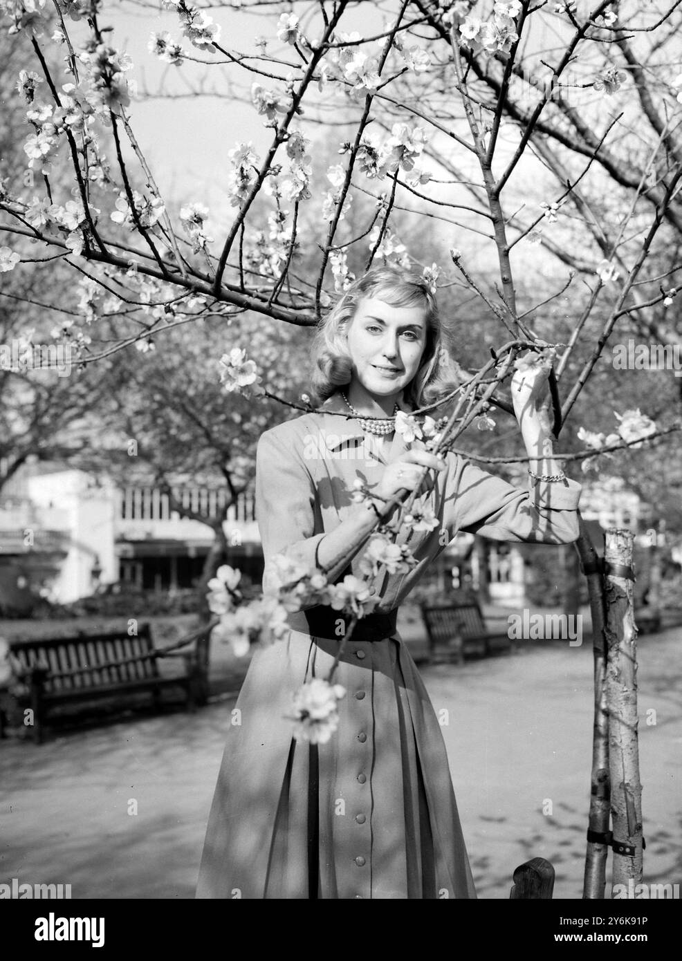 Anne Stevenson from Croydon Surrey admiring the early spring blossom at ...