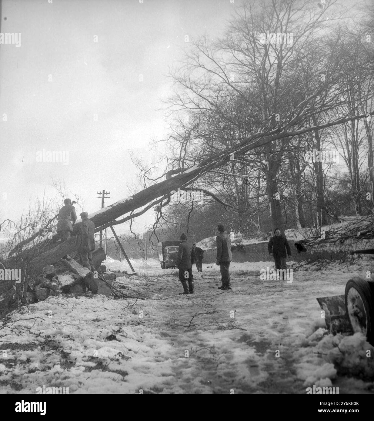 Tree fallen across the road after heavy snow in Kent 26 February 1958 ...