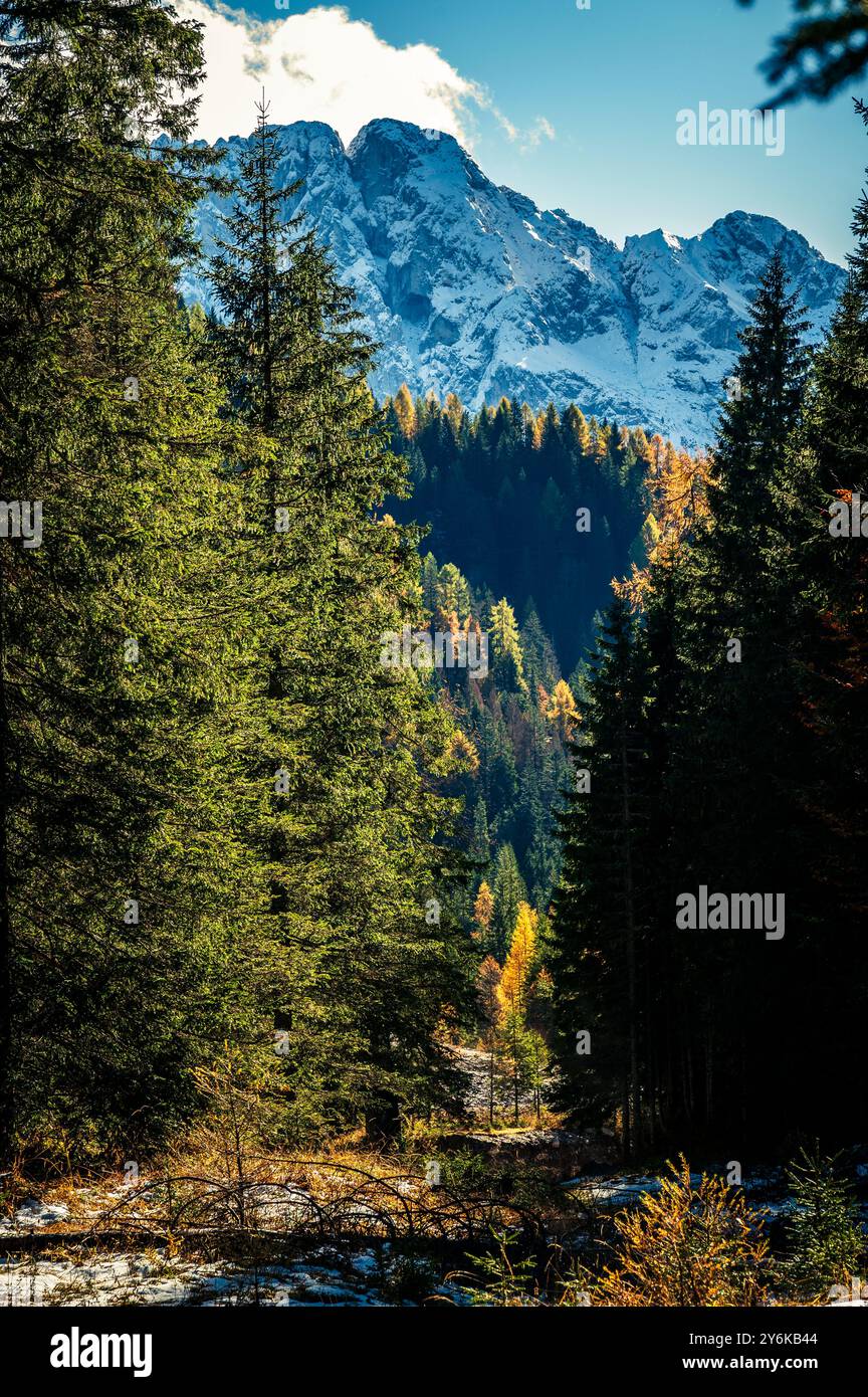 Autumn in Val Sesis. Explosion of colors in the Piave river valley ...