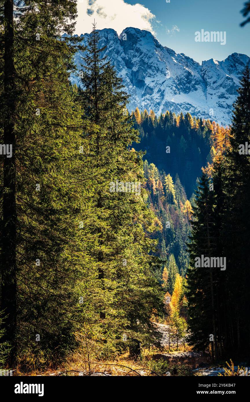 Autumn in Val Sesis. Explosion of colors in the Piave river valley ...