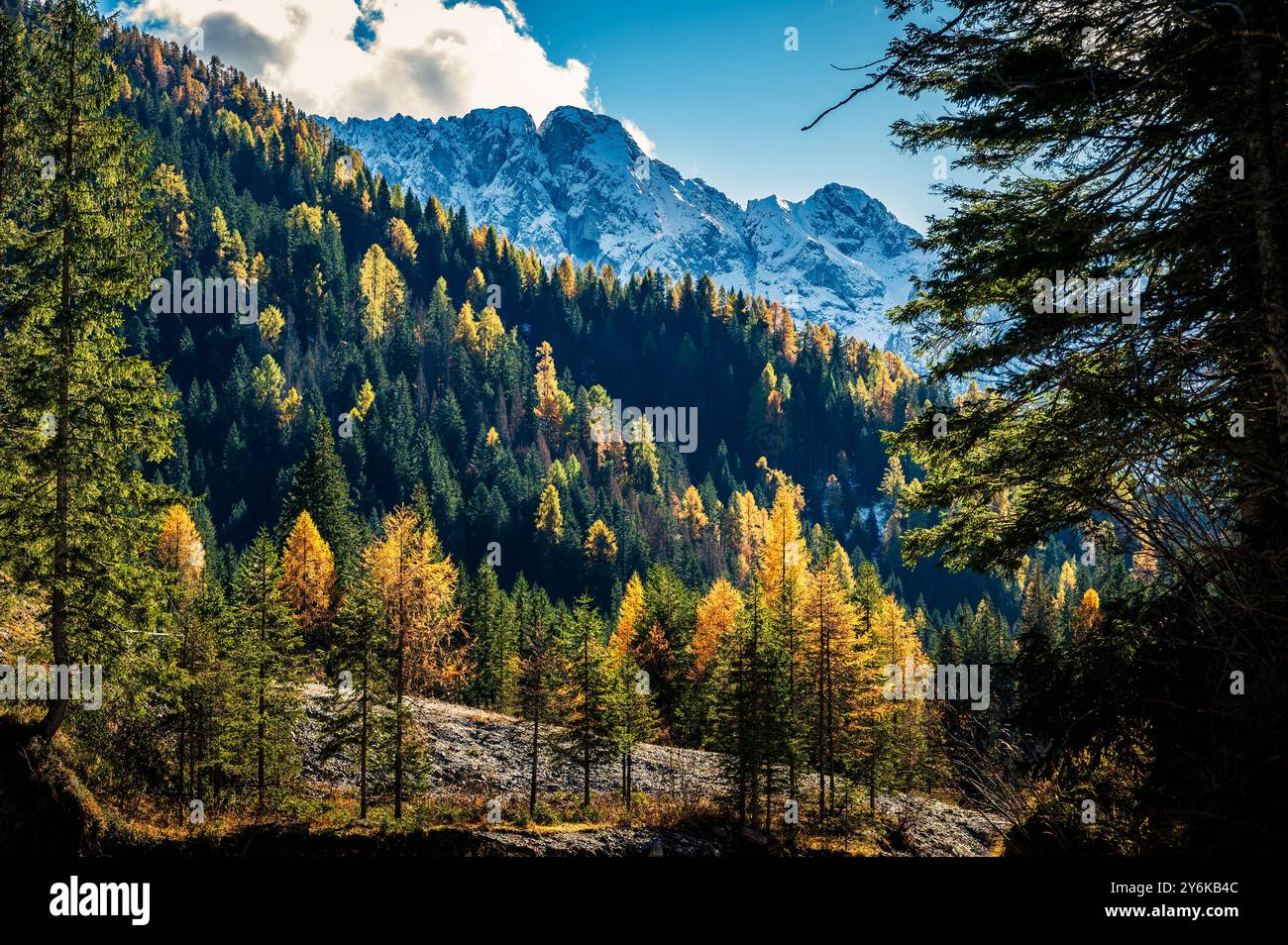 Autumn in Val Sesis. Explosion of colors in the Piave river valley ...