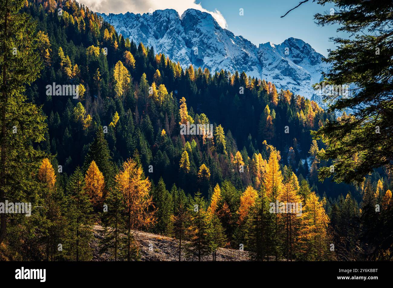 Autumn in Val Sesis. Explosion of colors in the Piave river valley ...