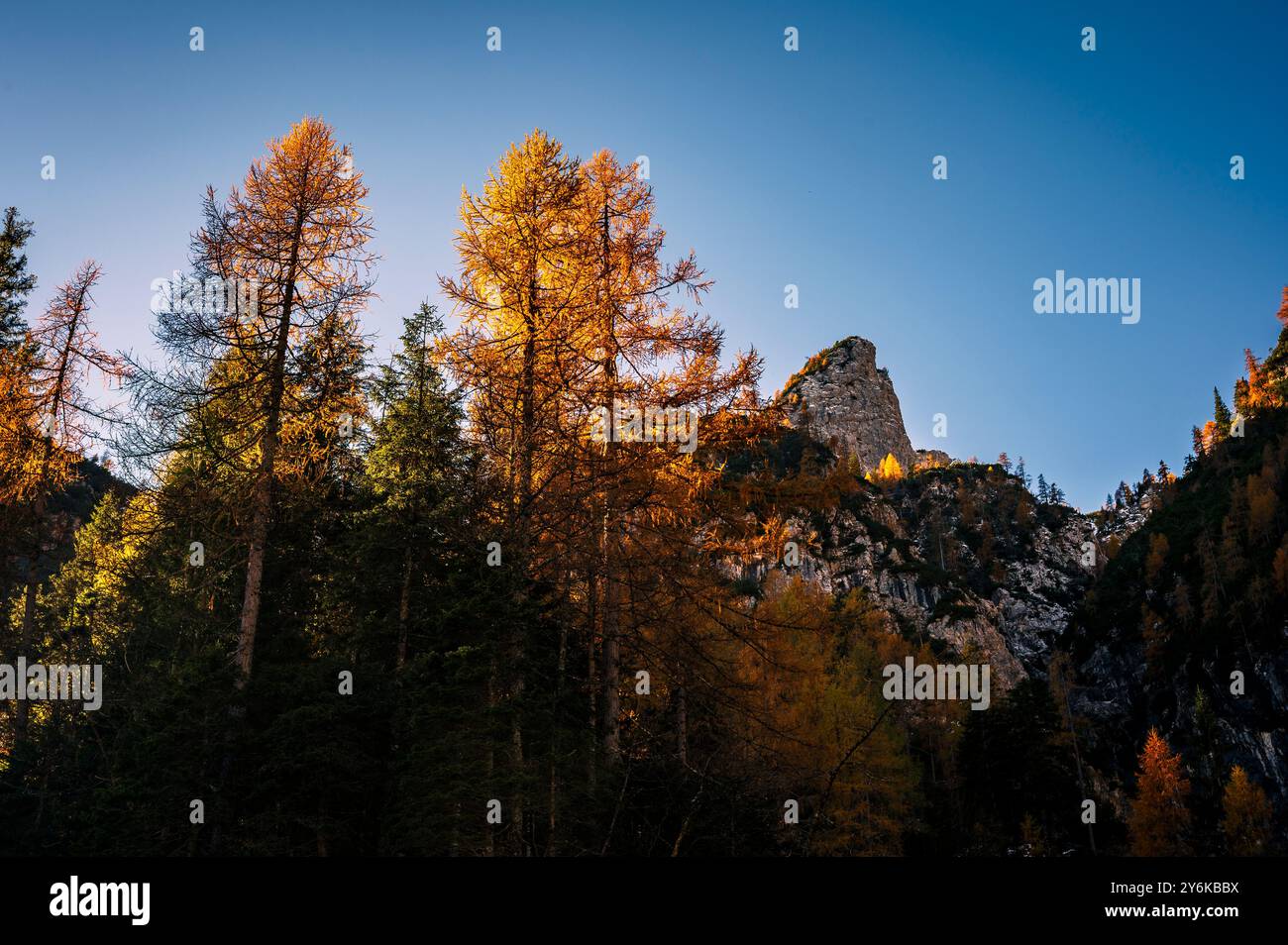 Autumn in Val Sesis. Explosion of colors in the Piave river valley ...