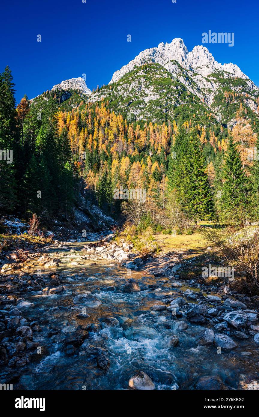 Autumn in Val Sesis. Explosion of colors in the Piave river valley ...