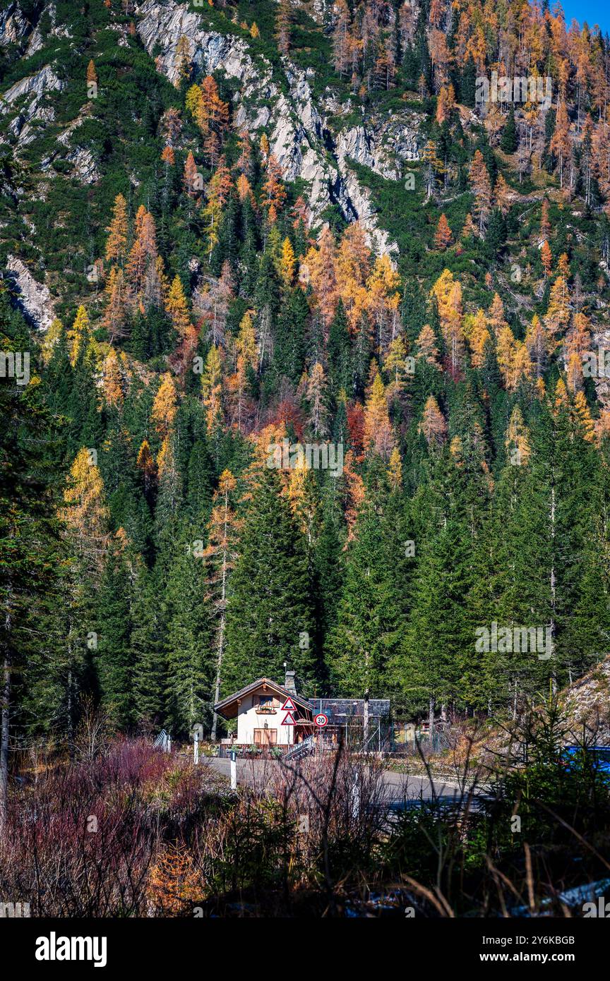 Autumn in Val Sesis. Explosion of colors in the Piave river valley ...