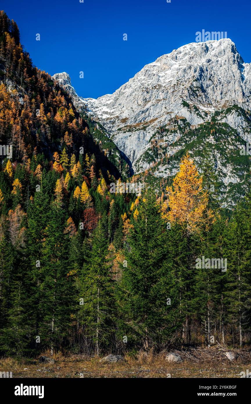 Autumn in Val Sesis. Explosion of colors in the Piave river valley ...