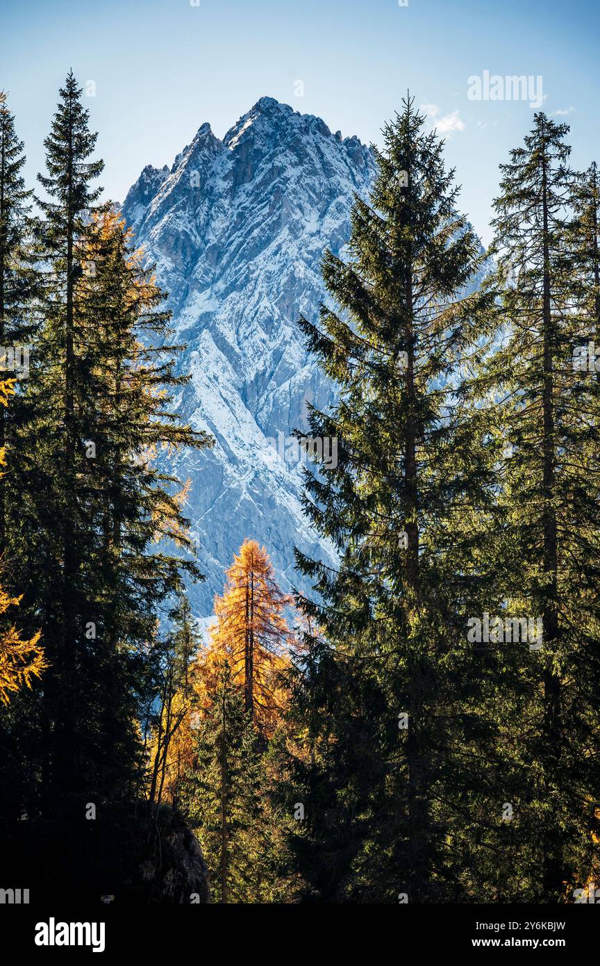 Autumn in Val Sesis. Explosion of colors in the Piave river valley ...