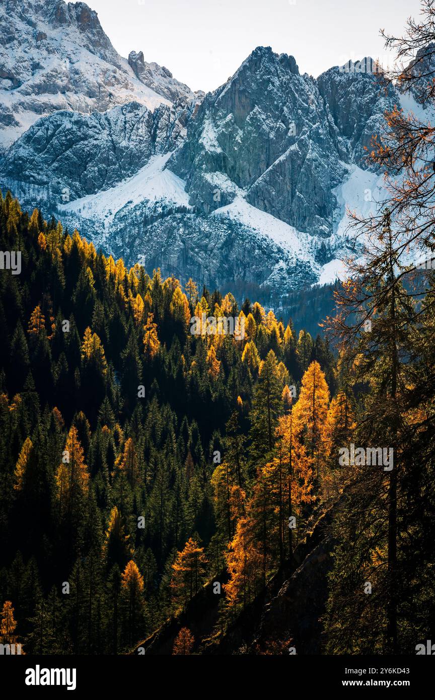 Autumn in Val Sesis. Explosion of colors in the Piave river valley ...