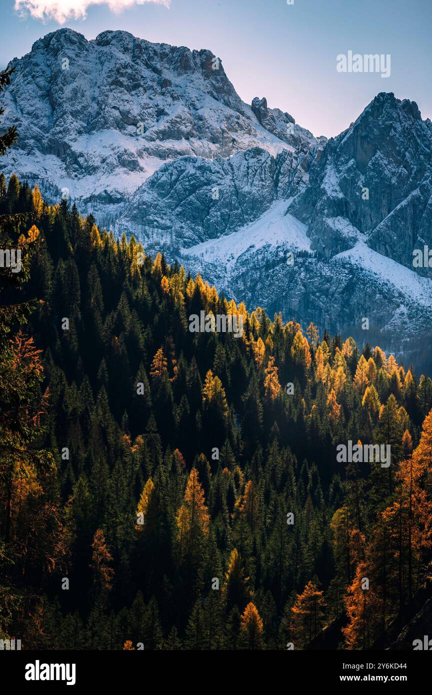 Autumn in Val Sesis. Explosion of colors in the Piave river valley ...
