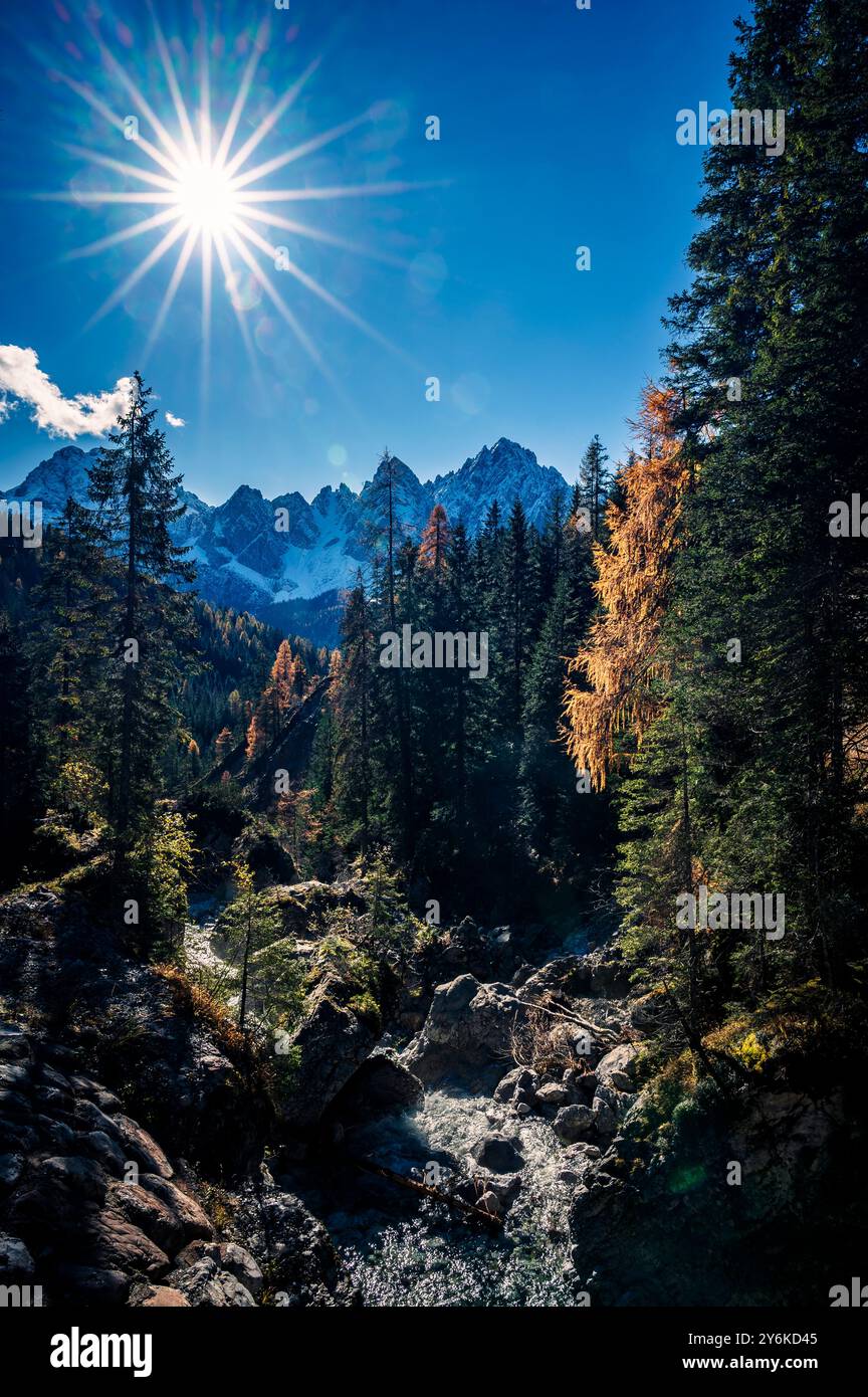 Autumn in Val Sesis. Explosion of colors in the Piave river valley ...