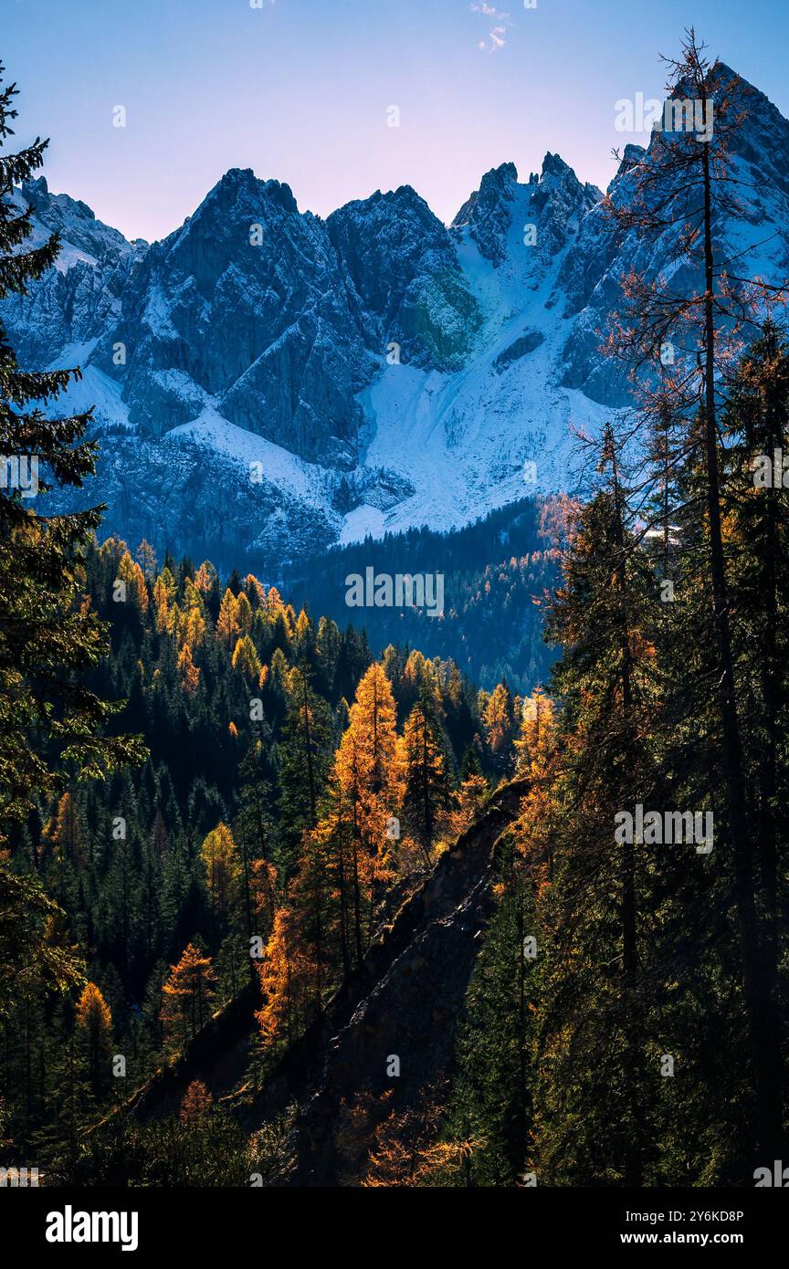 Autumn in Val Sesis. Explosion of colors in the Piave river valley ...