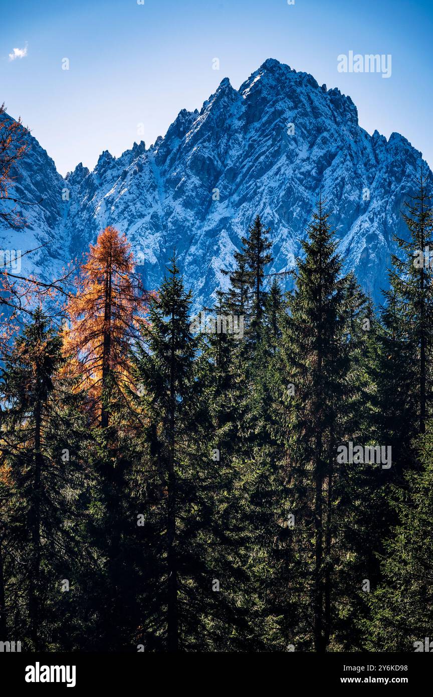 Autumn in Val Sesis. Explosion of colors in the Piave river valley ...