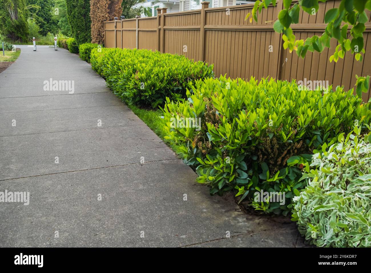 Big new wooden fence around the house and trees. Hard Wooden fence with ...