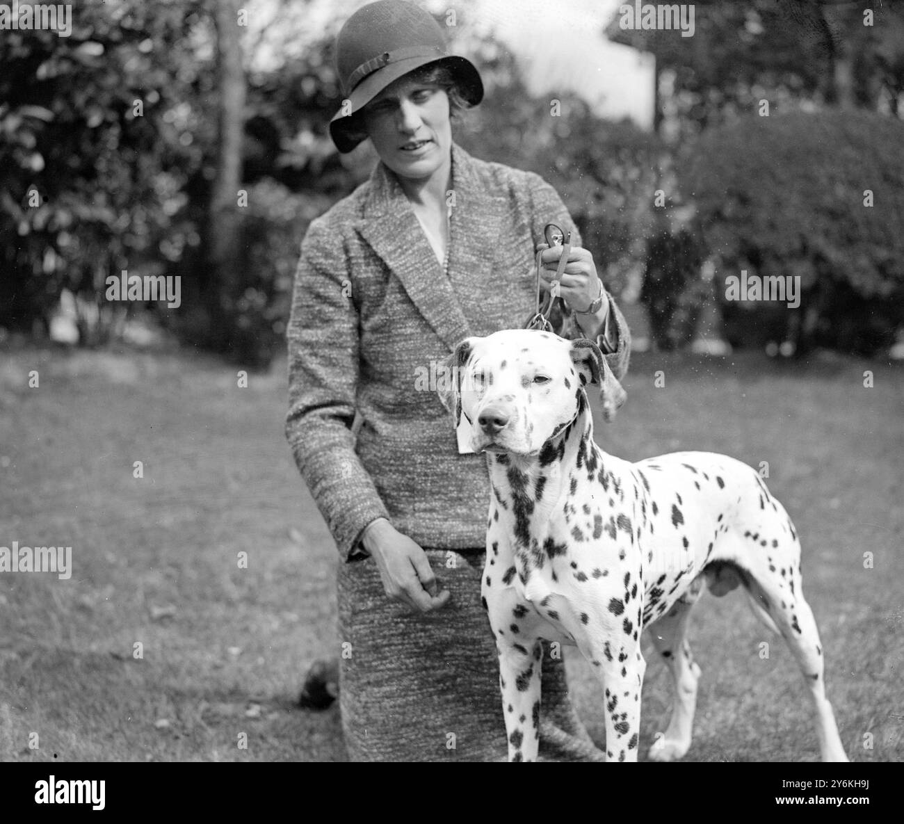 Kensington Canine Society Show at Crystal Palace. Miss V. Smithers ...
