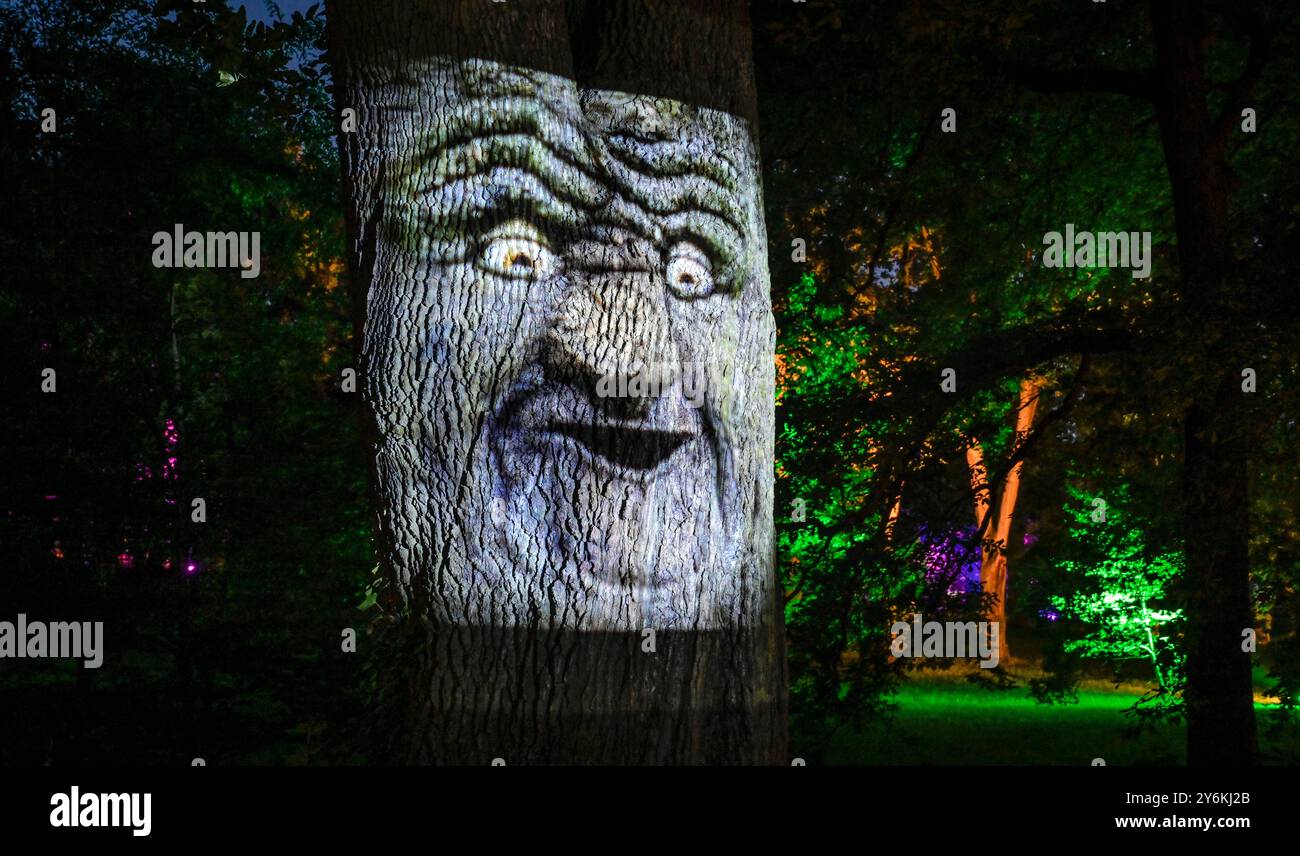 Botanische Nacht, illuminierter sprechender Baum, Botanischer Garten ...