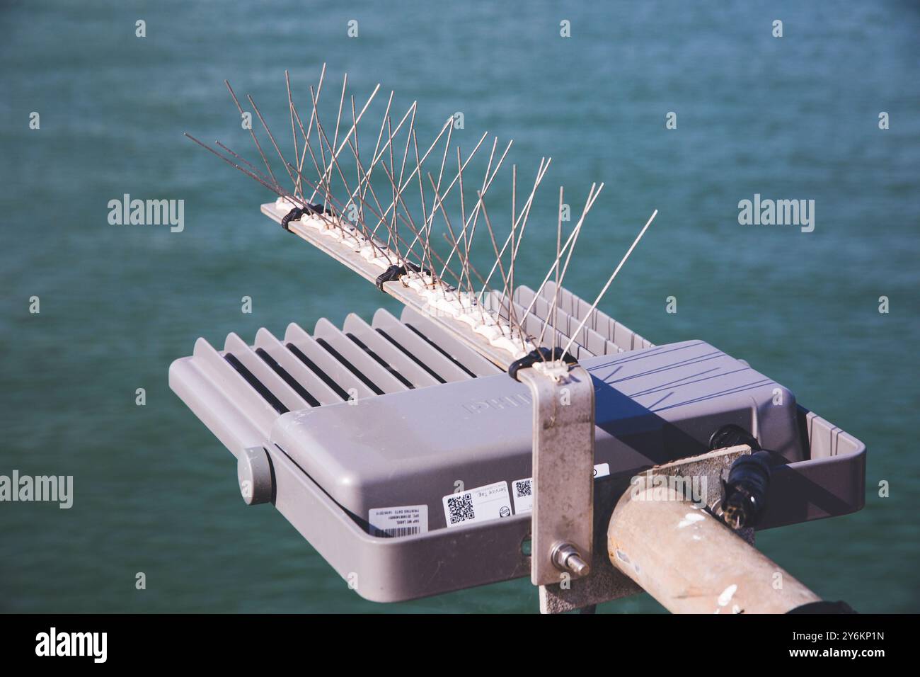 Anti birds spike hi-res stock photography and images - Alamy
