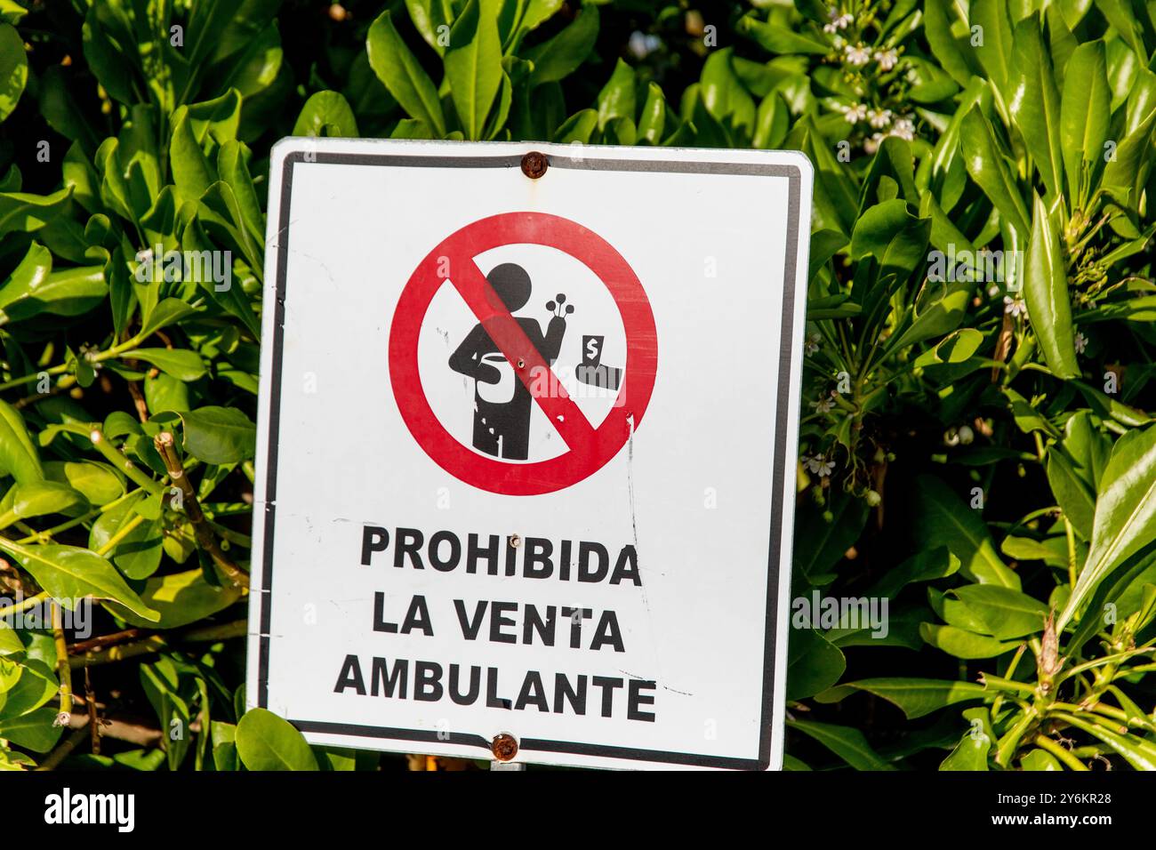 Mexico, Quintana Roo, Tulum, itinerant sale prohibited Stock Photo - Alamy