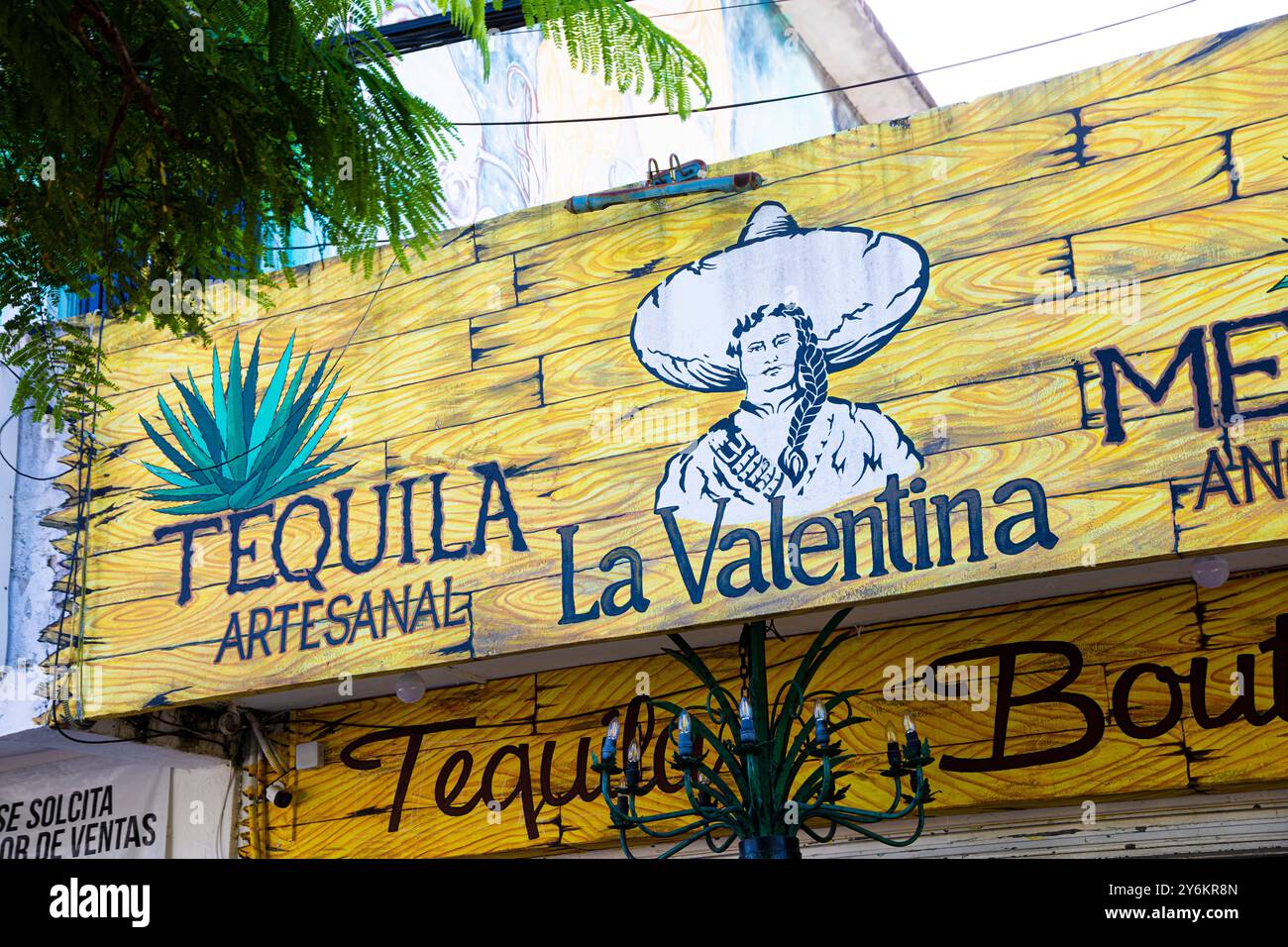 Mexico, Quintana Roo, Tulum, Tequila Stock Photo - Alamy