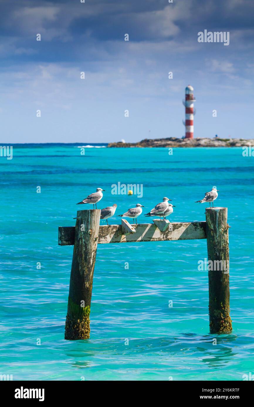 Mexico, Quintana Roo, Cancun. Faro de Punta Cancun Stock Photo - Alamy