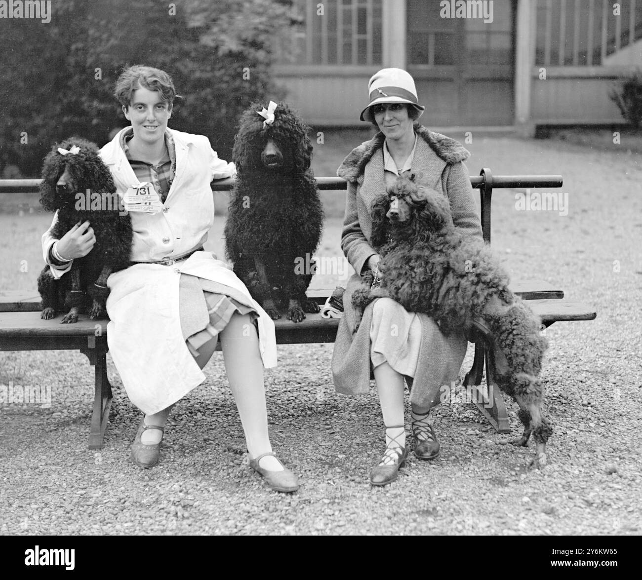 Kennel Club Show at Crystal Palace. Miss J. Lane and Mrs Brownrigg with ...