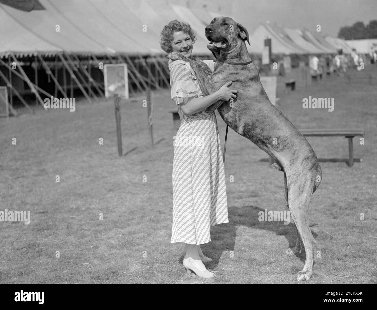 Richmond Dog Show. Miss Dorothy Seacombe, the actress (in private life ...