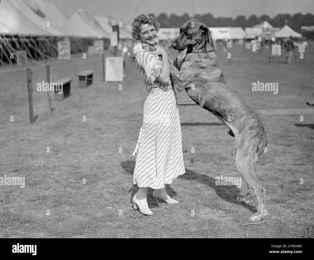 Richmond Dog Show. Miss Dorothy Seacombe, the actress (in private life ...