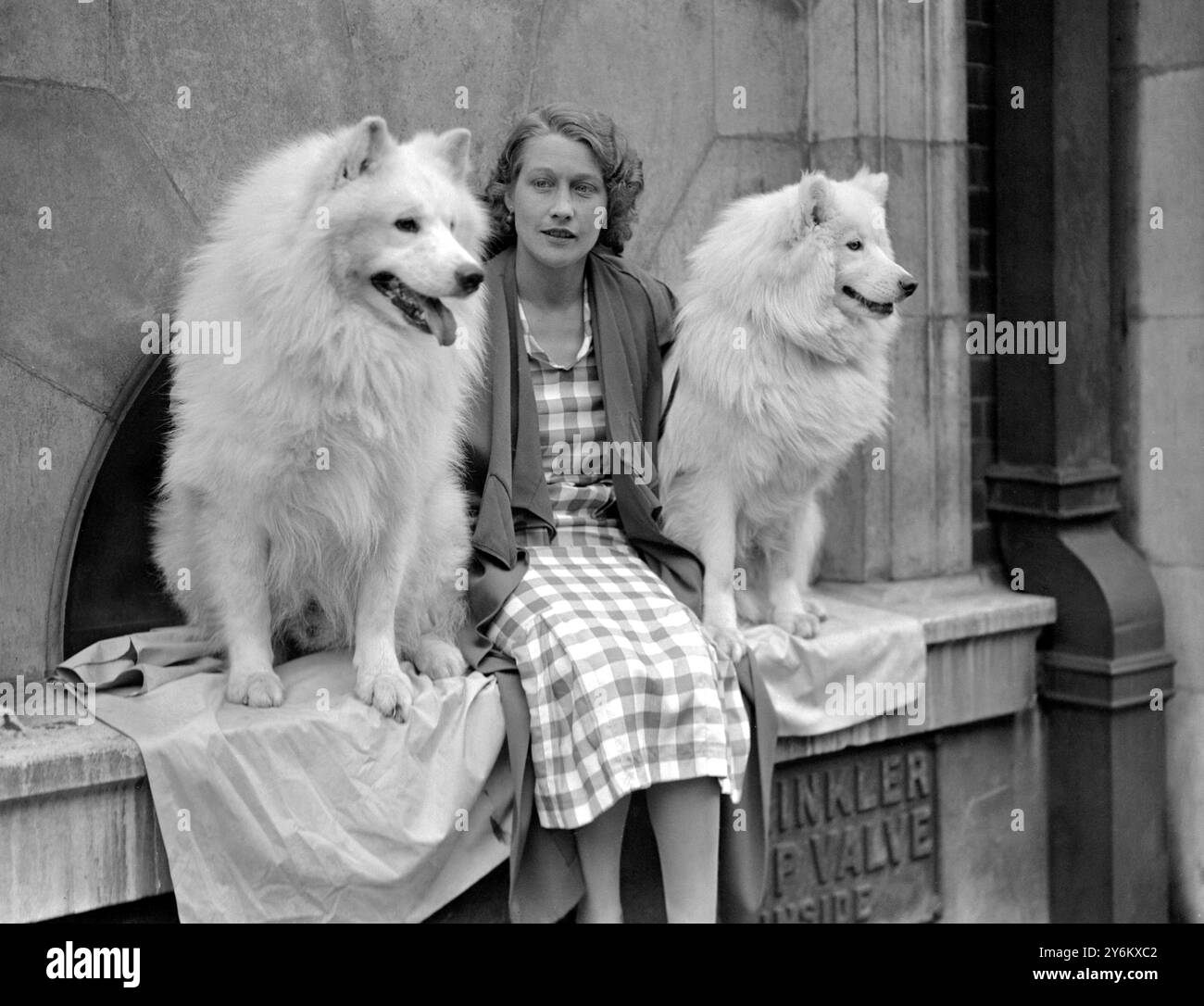 L.K.A. Show at Olympia. Miss Irene Perry and her Samoyeds. "White Fang ...