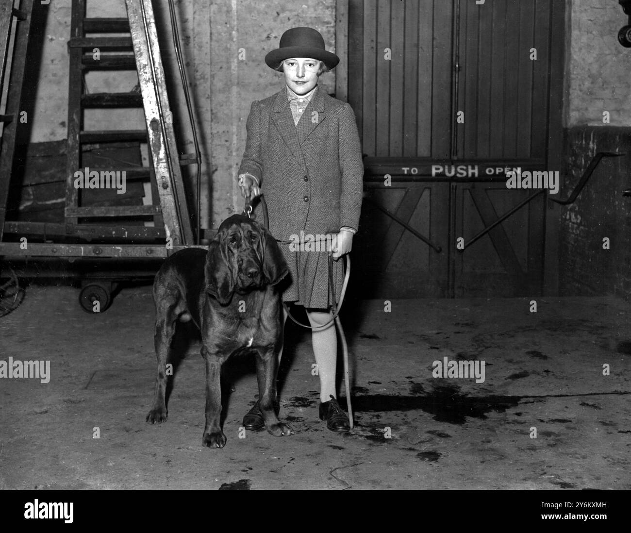 Cruft's Show at Agricultural Hall. Honourable Lavinia Strutt with her ...