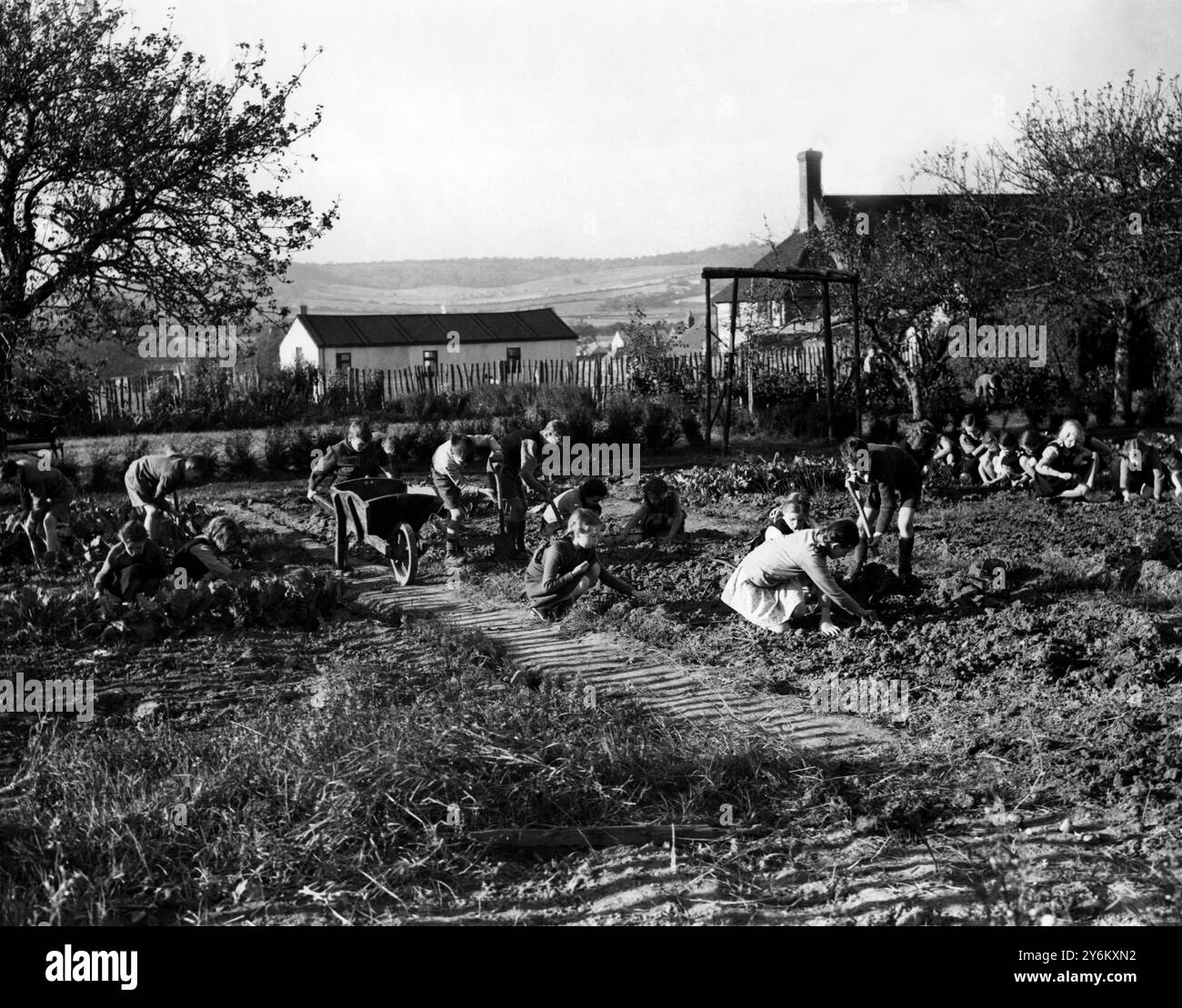 Allotment digging Black and White Stock Photos & Images - Alamy
