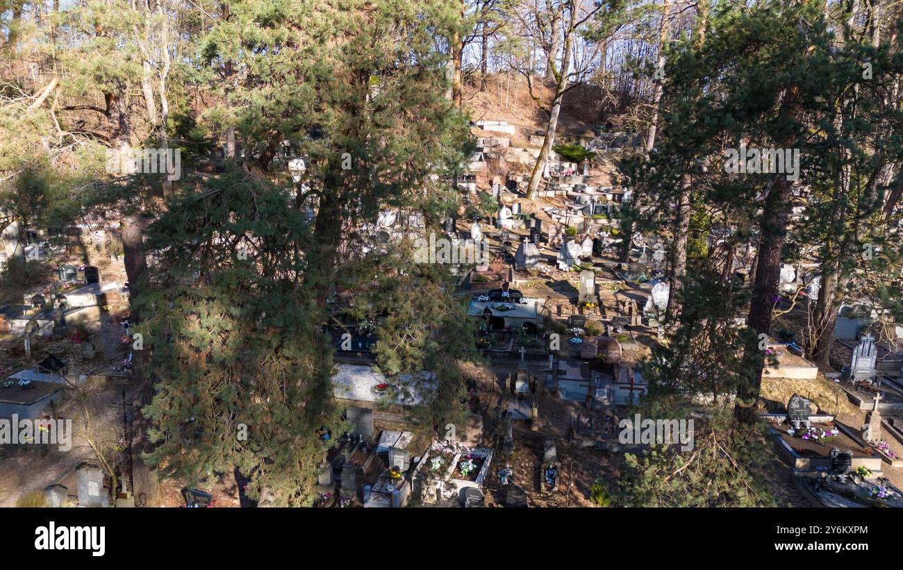 Aerial view of a cemetery surrounded by tall trees. The graves are ...