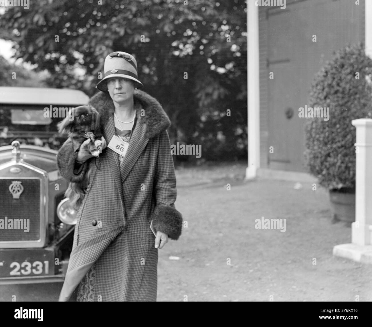 Pekingese Show at Ranelagh, Dublin, Ireland. Lady Holder. 1928 Stock ...