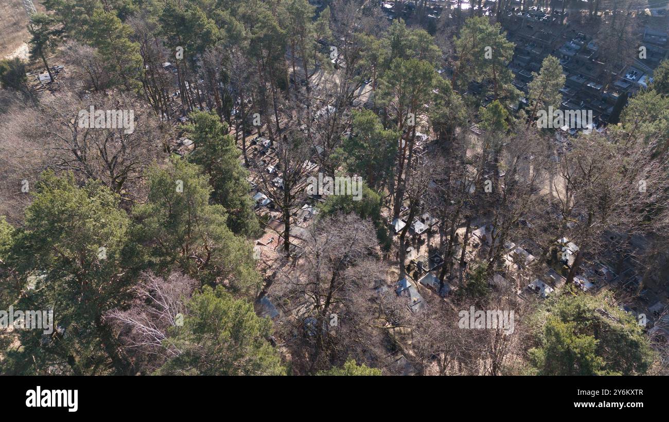 Aerial view of a cemetery surrounded by tall trees. The graves are ...