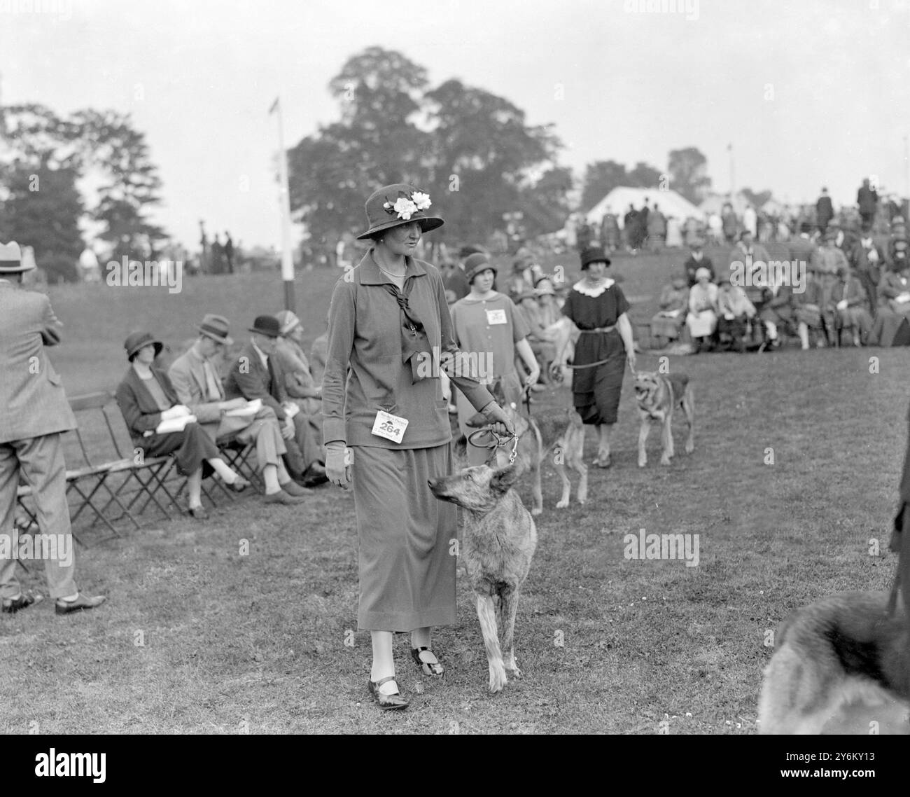 Ranelagh Championship Dog Show, Dublin, Ireland. Lady Edith Windham ...