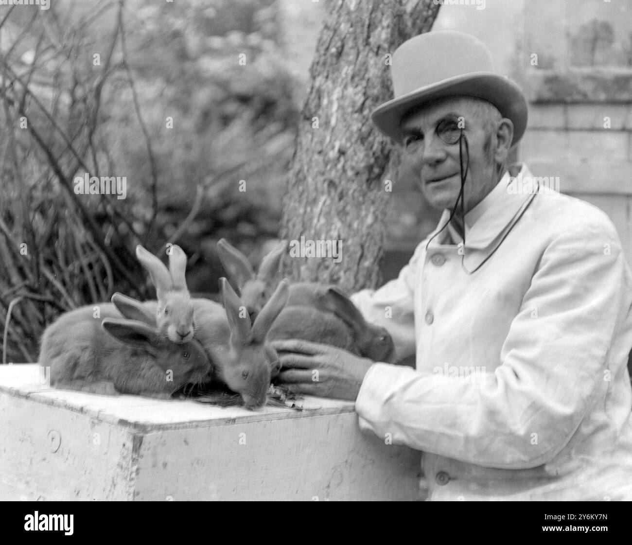 Mr Arthur Maxwell, a well-known breeder of Pekinese Dogs before the war ...