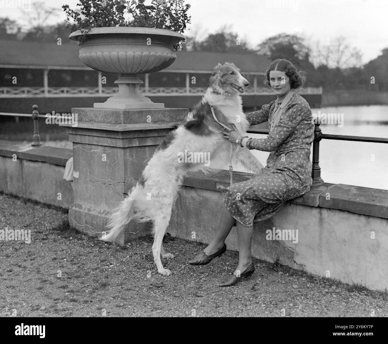 Kennel Club Show at the Crystal Palace. Mrs Potts with her magnificent ...