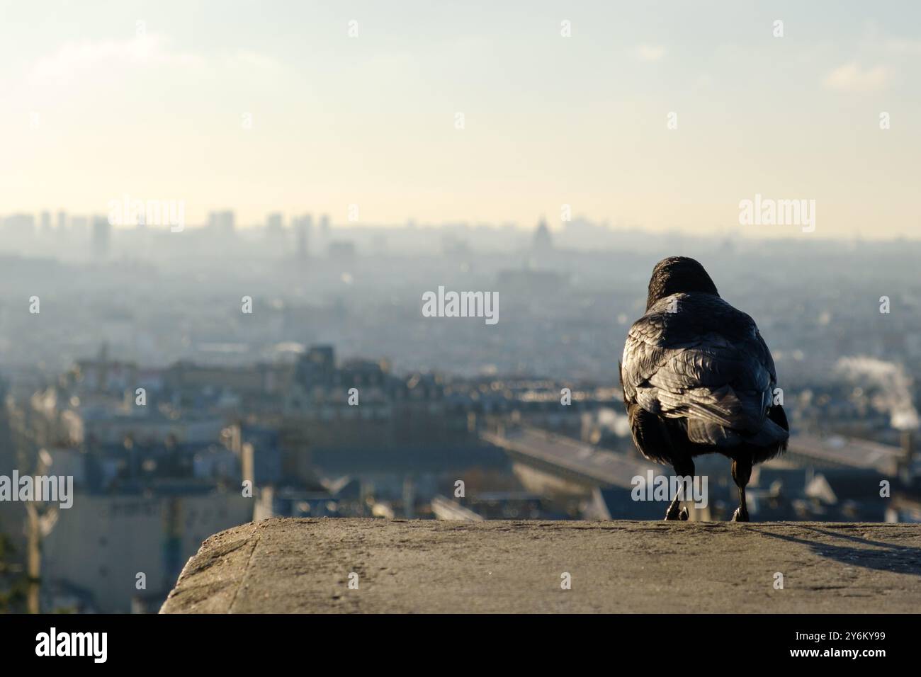 Bird watching Paris Stock Photo - Alamy