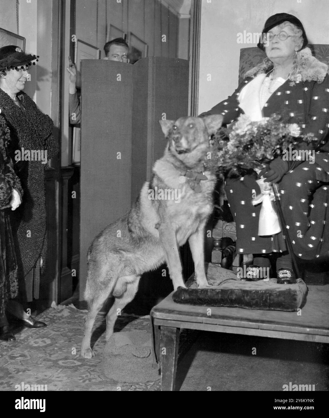 Frances Evelyn Daisy Greville, Countess of Warwick and "Bob Of Carmel ...