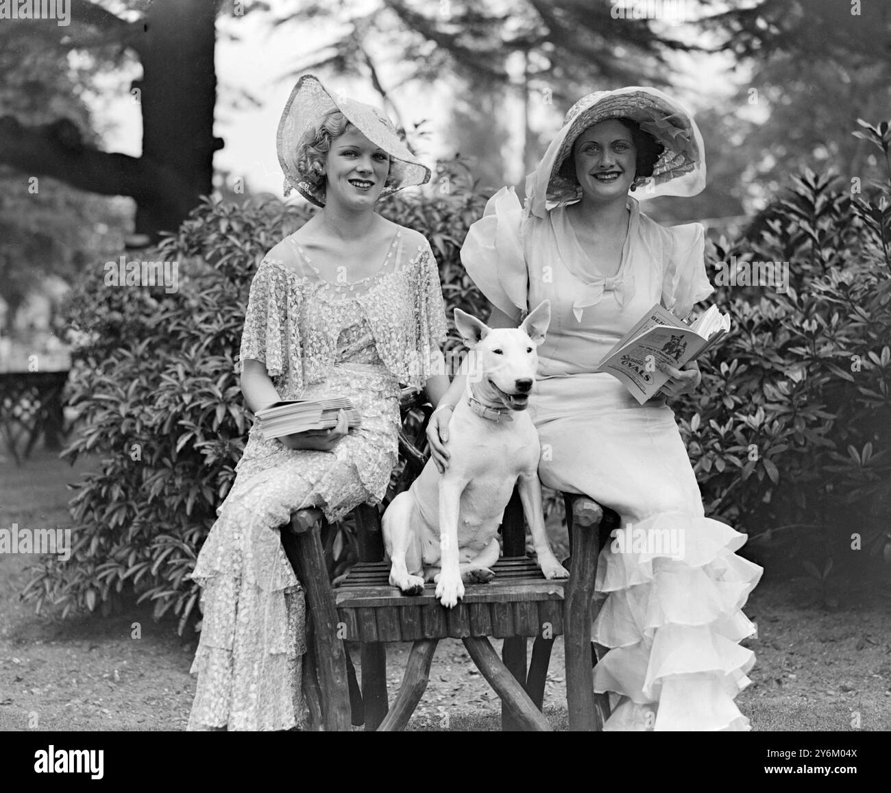 Dog Show at the Warner Film Studios at Teddington London. Miss Angela ...