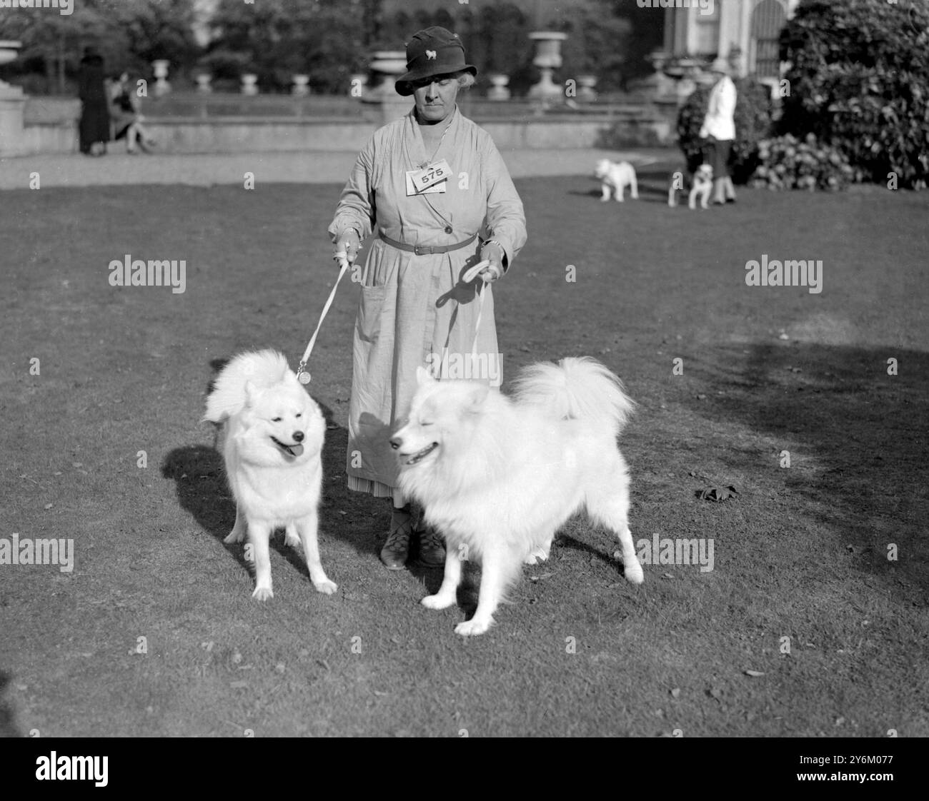 Kennel Club Show at Crystal Palace. Lady May Boothby with her Samoyeds ...